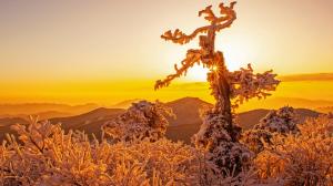 겨울산...자연과 더불어 살아가는 산악사진가의 삶 (1)